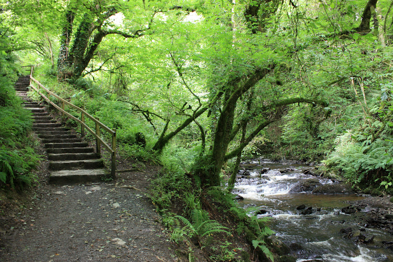 Our Cottage Garden & Country Living: Dun a Ri Forest Park