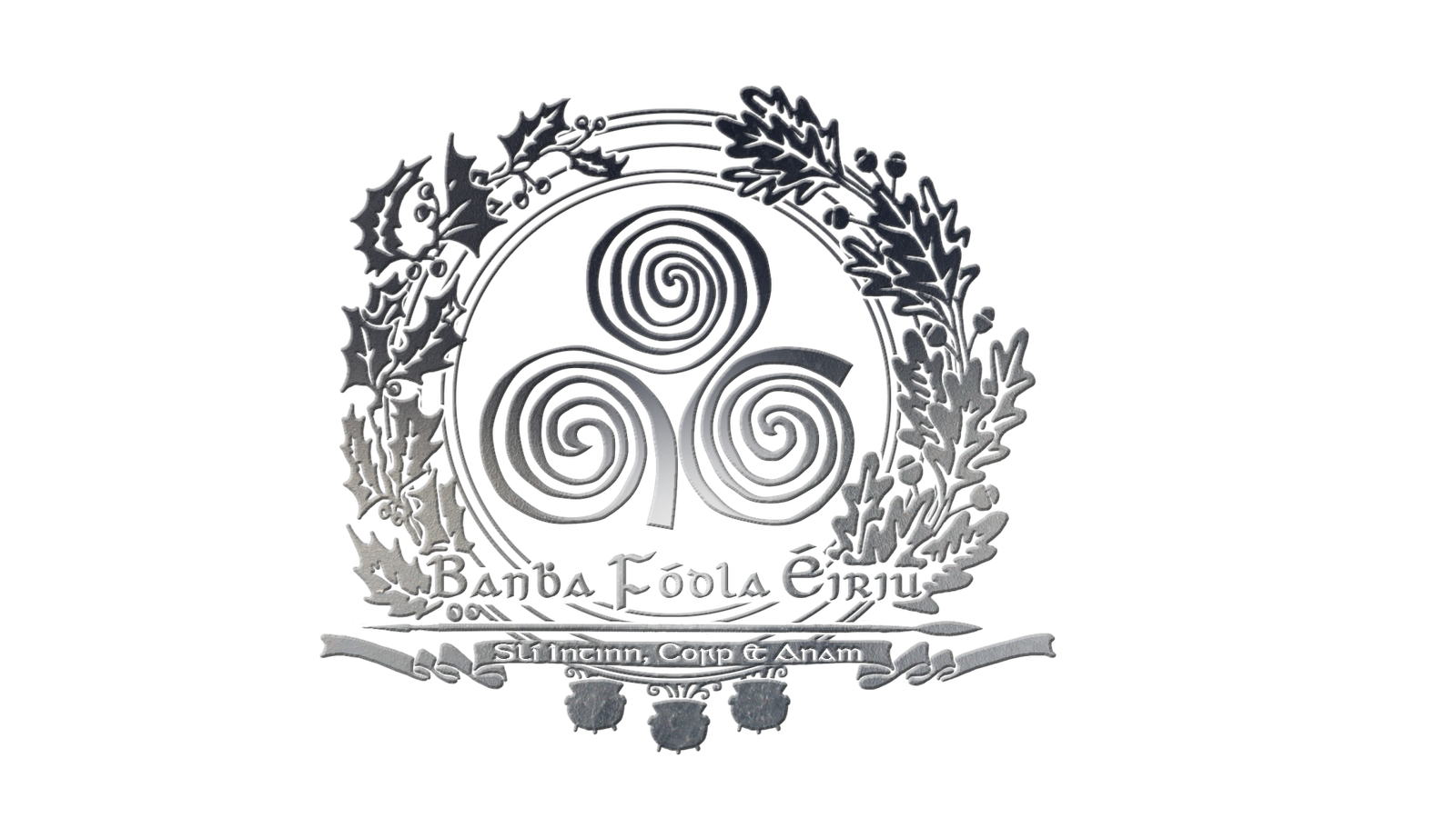 Banbha Fódla Éiriu: What is Banbha Fódla Éiriu?