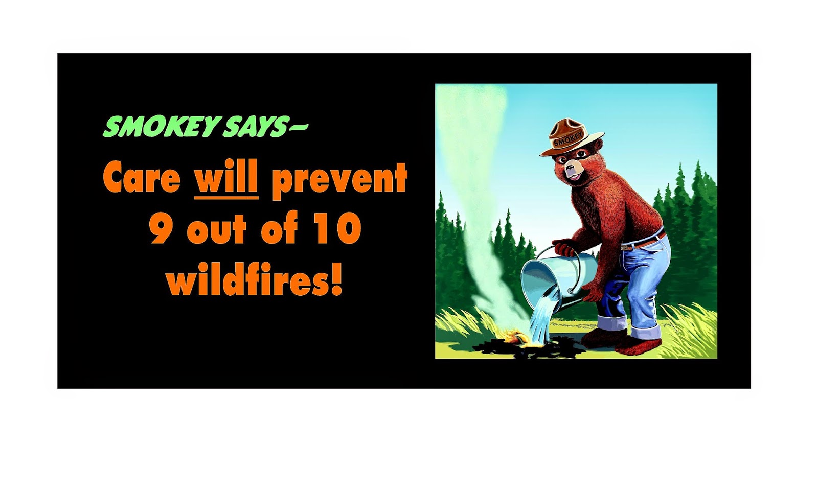 After 70 years, Smokey Bear still plays vital role in fire prevention ...