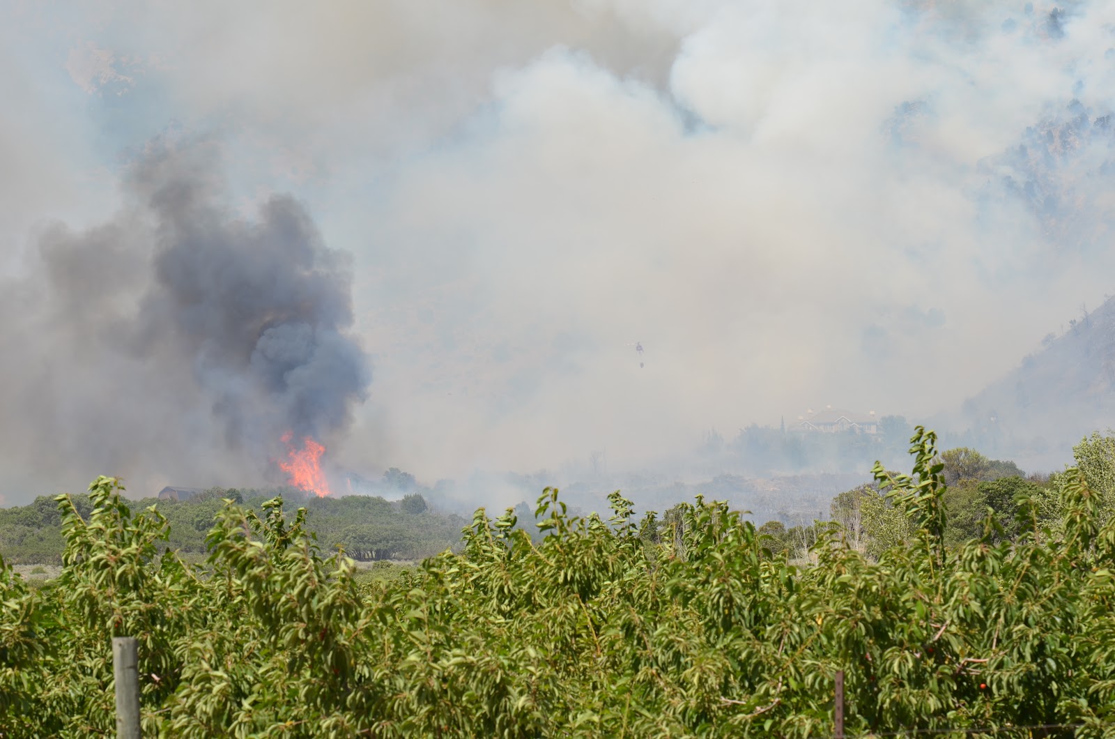 The Patterson Family: Alpine FIre