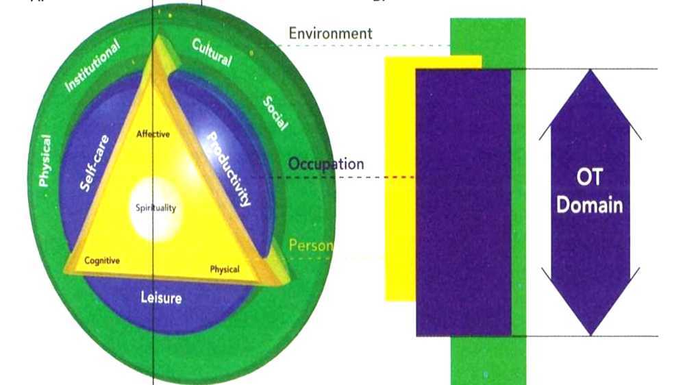 Canadian model of occupational performance and engagement