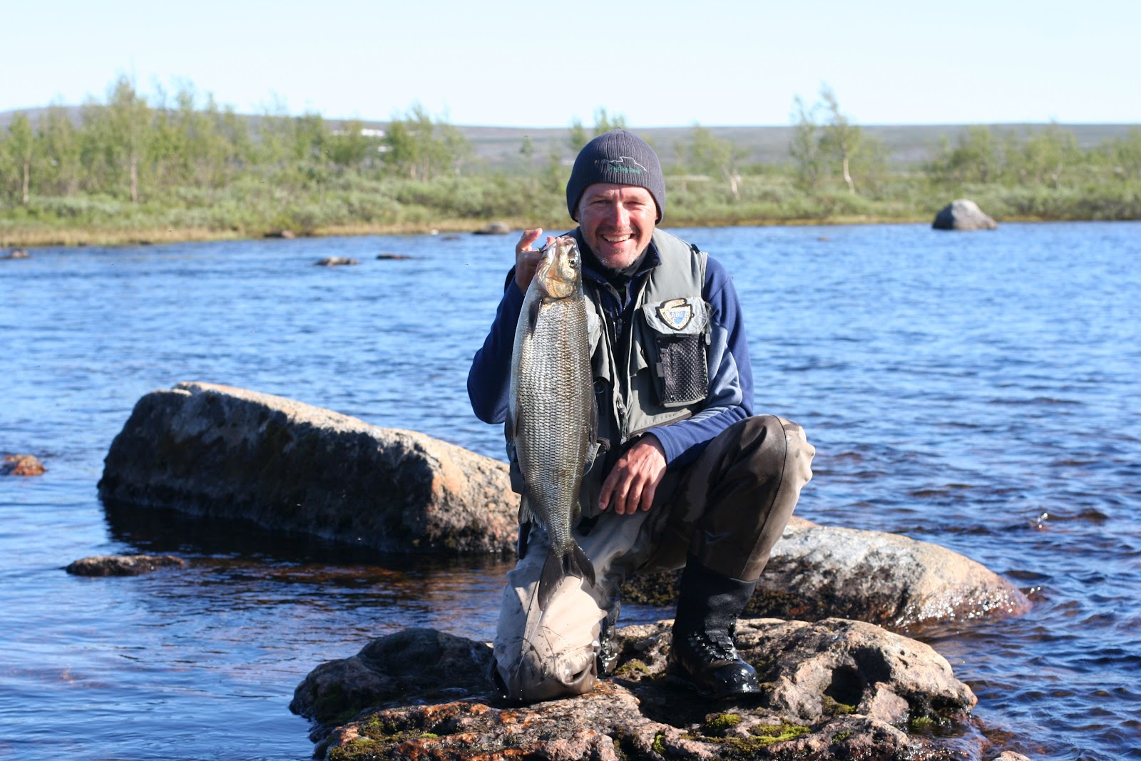 Ison siian perhokalastus | Kalastus.com