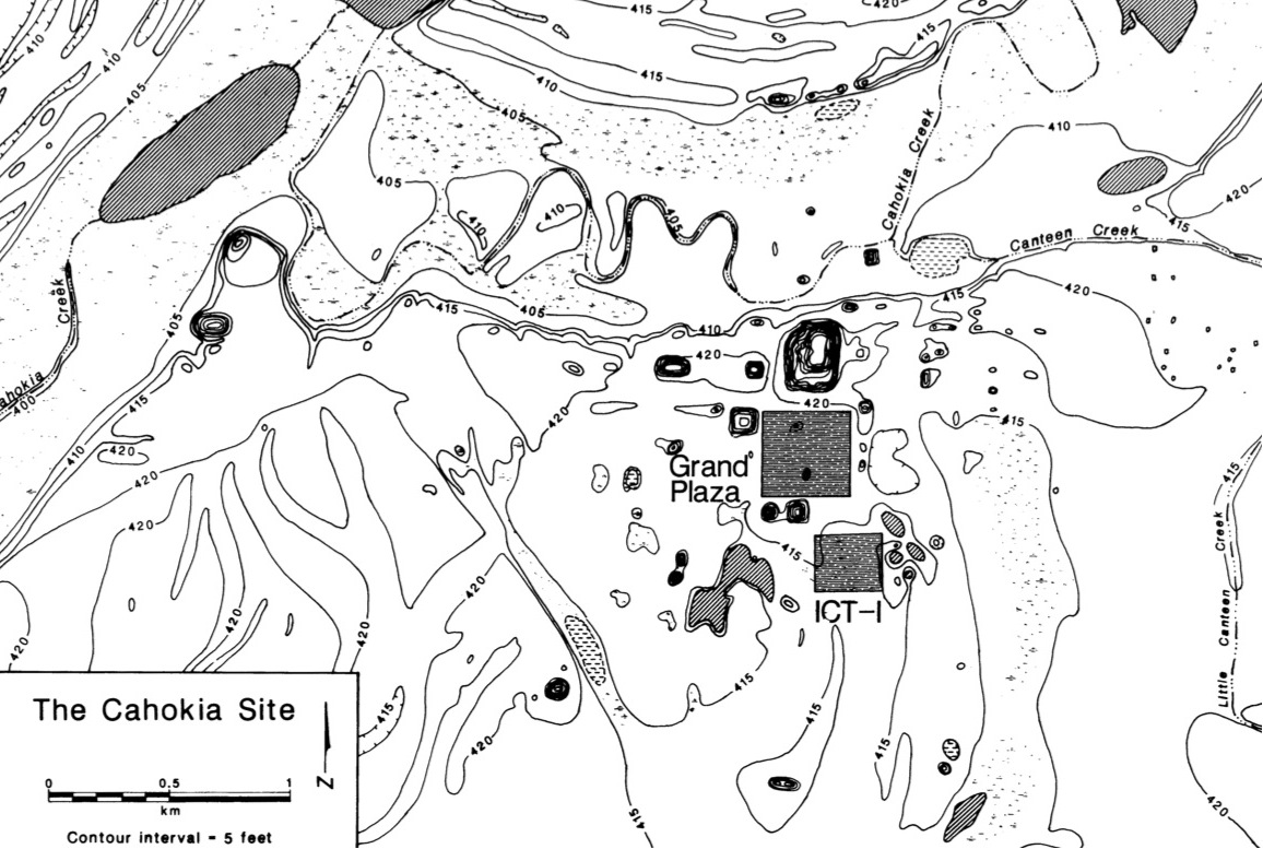 MAISD Bing Yang: February 2011