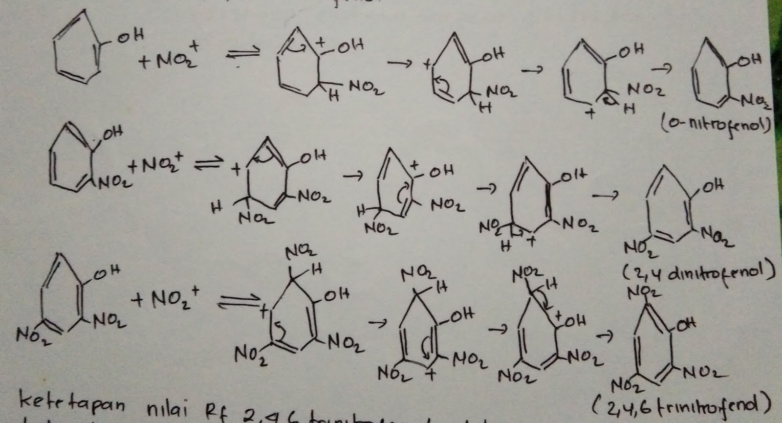 Laporan Praktikum Kimia Organik I - Science639