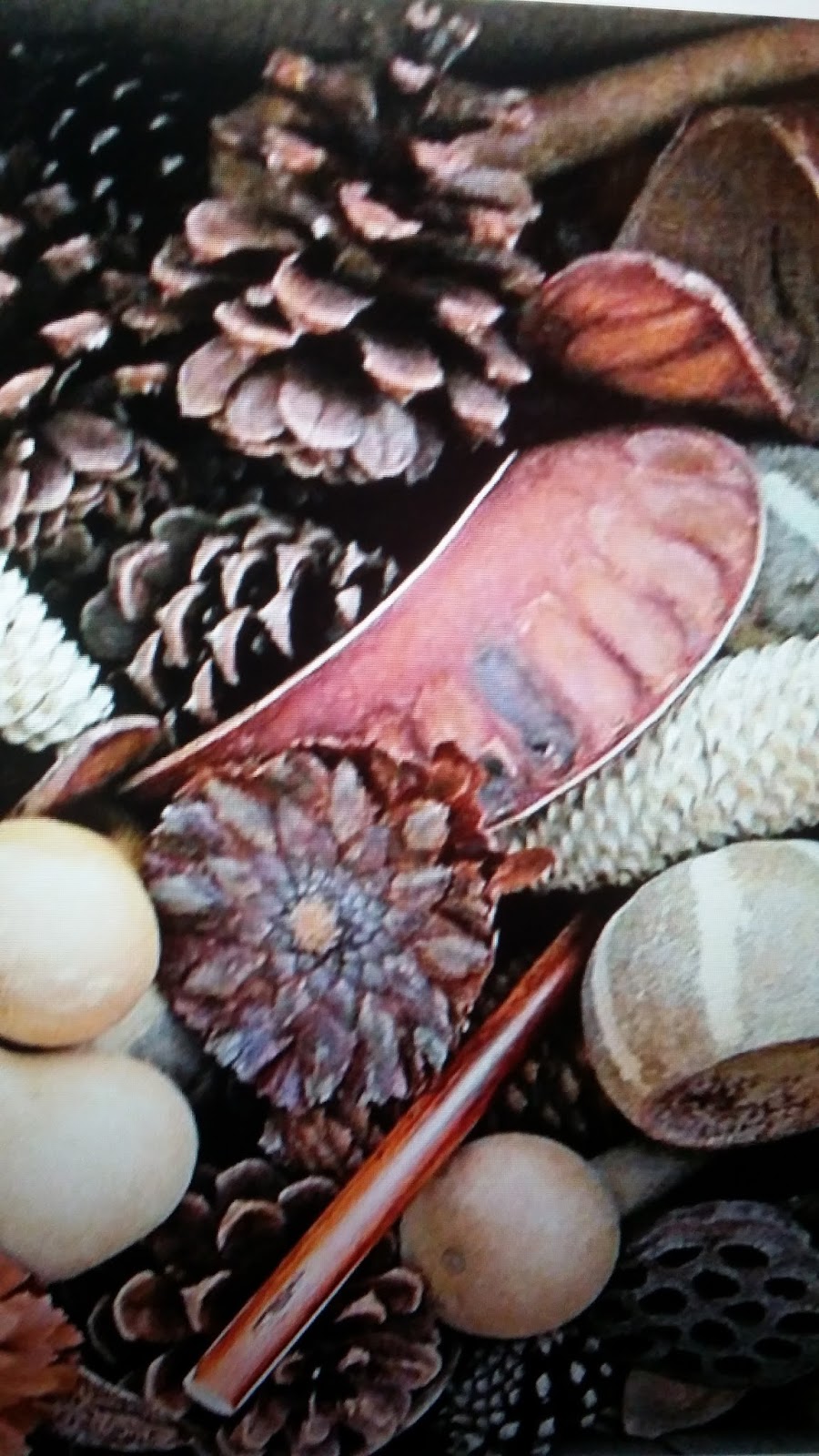 Exquisite dried floral poppyheads, pods & bunches: Dried poppy heads ...