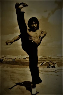 Grandmaster Hwang Jang Lee (Wong Cheng Li) 黃正利