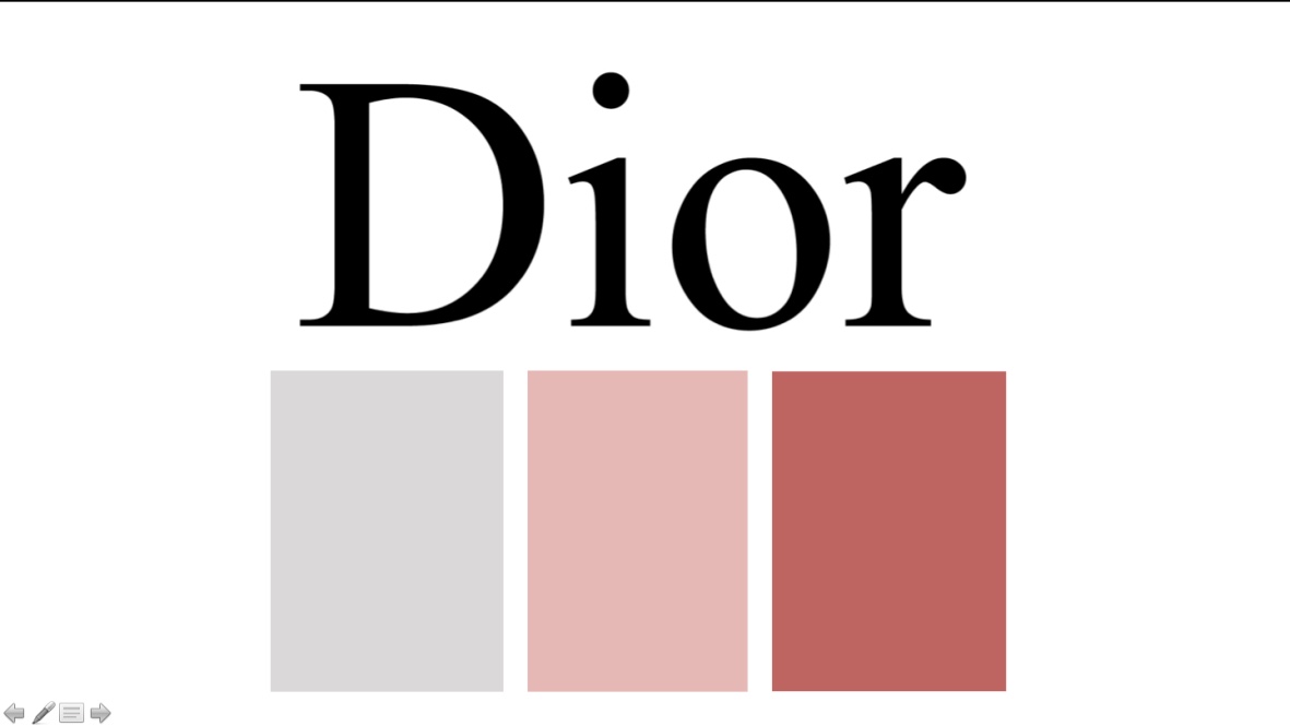 Dior Presentation | Little Ray of Soraya