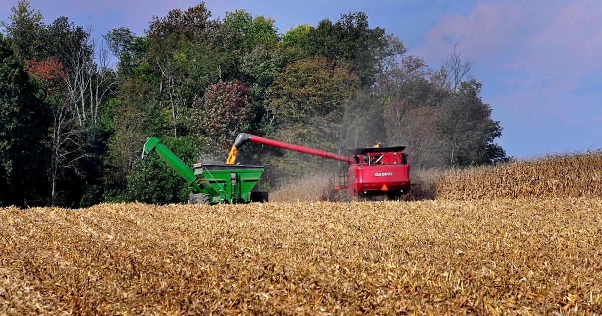 This Farm Family's Life: Ag Talk Q& A...