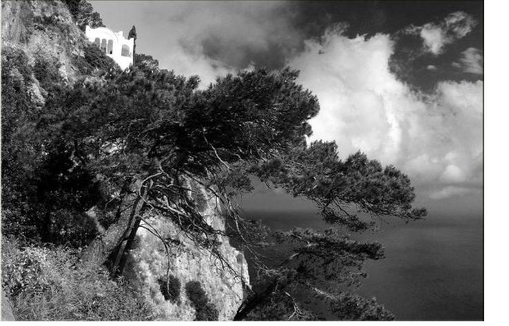 Macumbeira: The story of San Michele by Axel Munthe