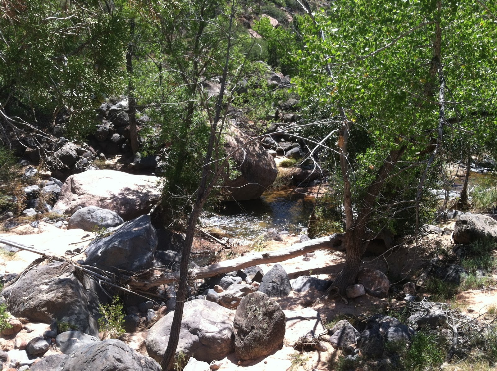 Myatt's Hikes: Grapevine, Zion National Park