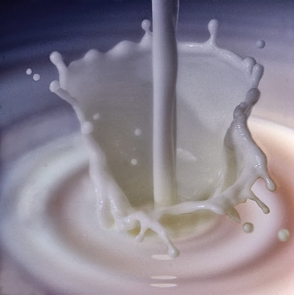 Bird House Diaries: Tips for Better Baking: Dairy Products and Other ...