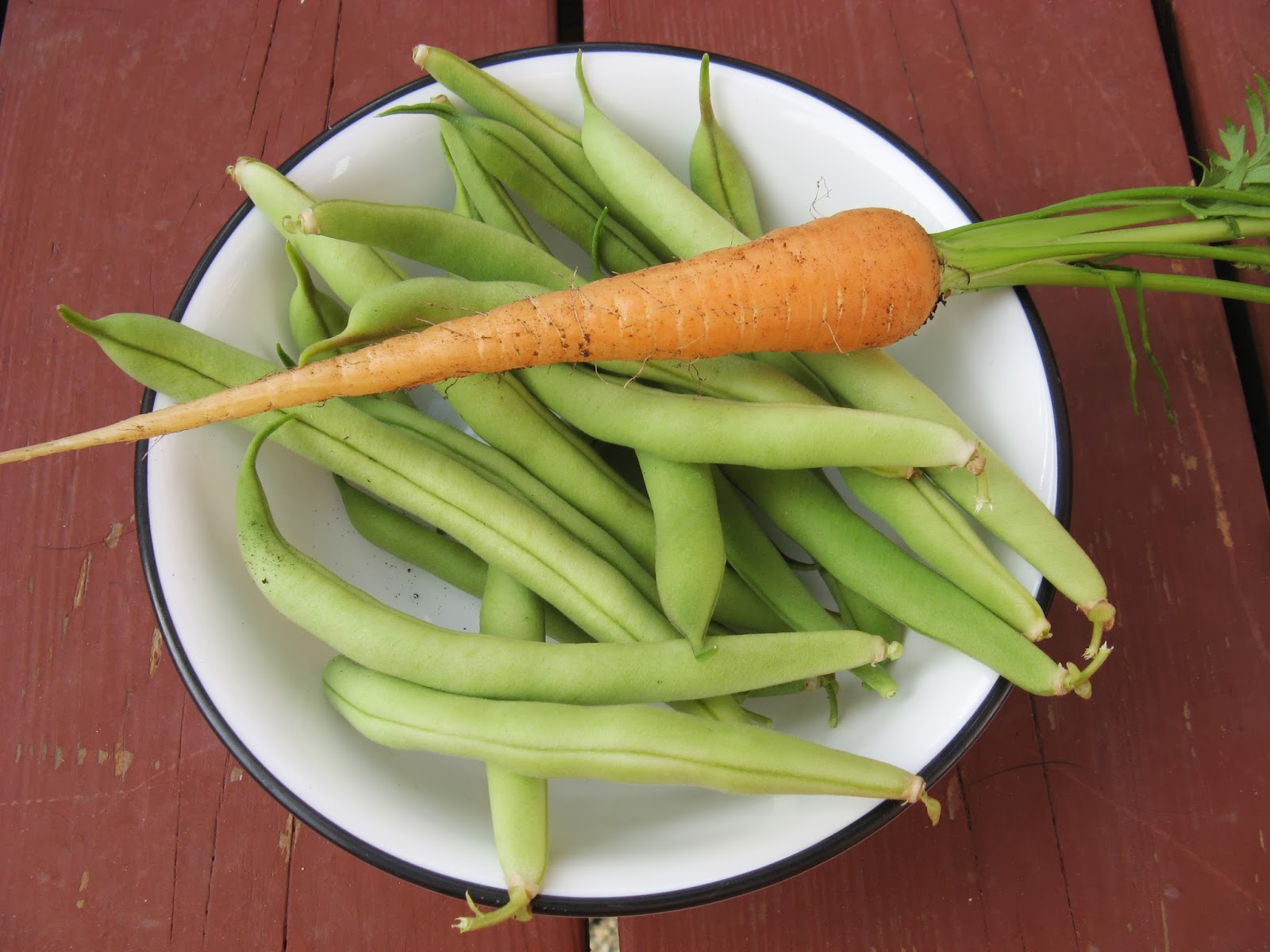 FALIA REVIEWS: Garden Carrots: My Three Favorite Recipes (& Non-GMO Seeds)