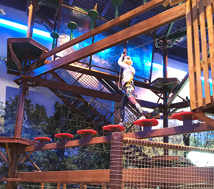 Chicago's Great Wolf Lodge! - The Chronicles of a Chicago Mom