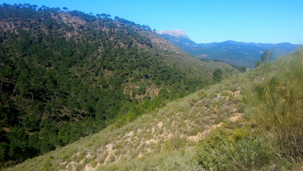 Collado del Contadero-Castillo de la Yedra-Cotillas