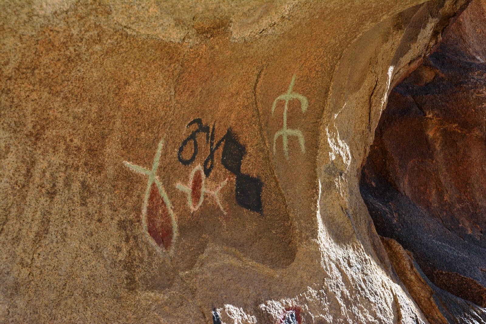 Patrick Tillett: Barker Dam and Disney Petroglyphs - Joshua Tree NP