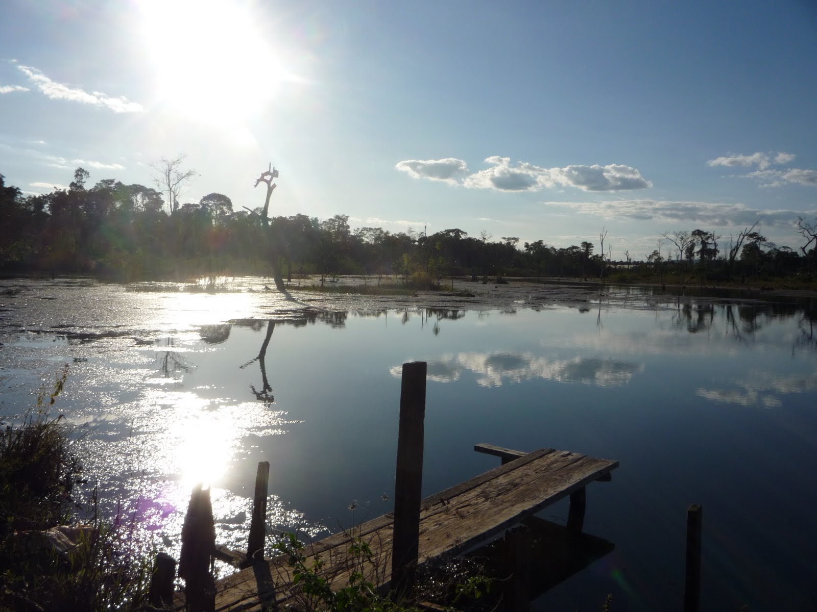BRAZIL NATURE: LAGO NA MATA AMAZÔNICA - Lake in the Amazon Rainforest