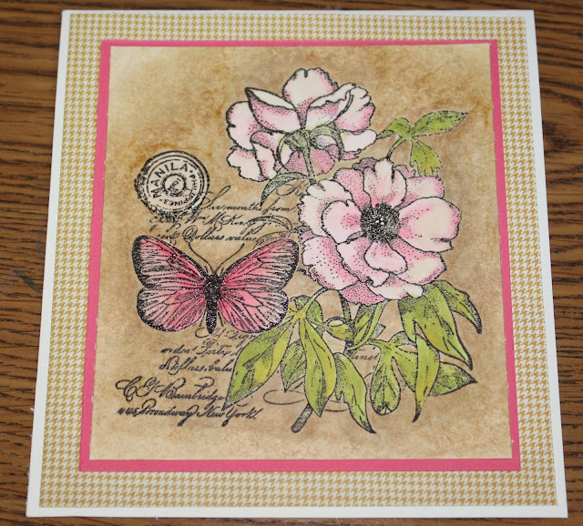 SusieQue Loves Stampin: Pink Botanical