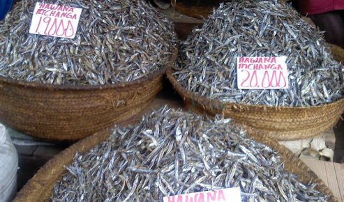 Matunda, dagaa, chumvi fursa kubwa Zanzibar