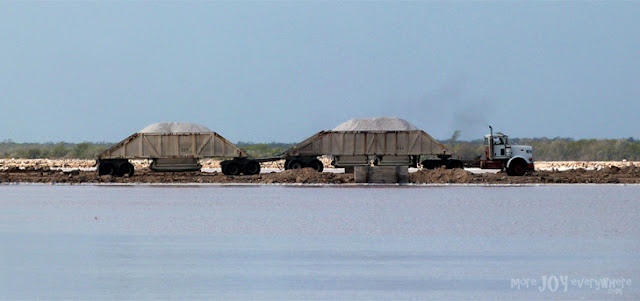 more JOY everywhere!: Operation Go Great Inagua!