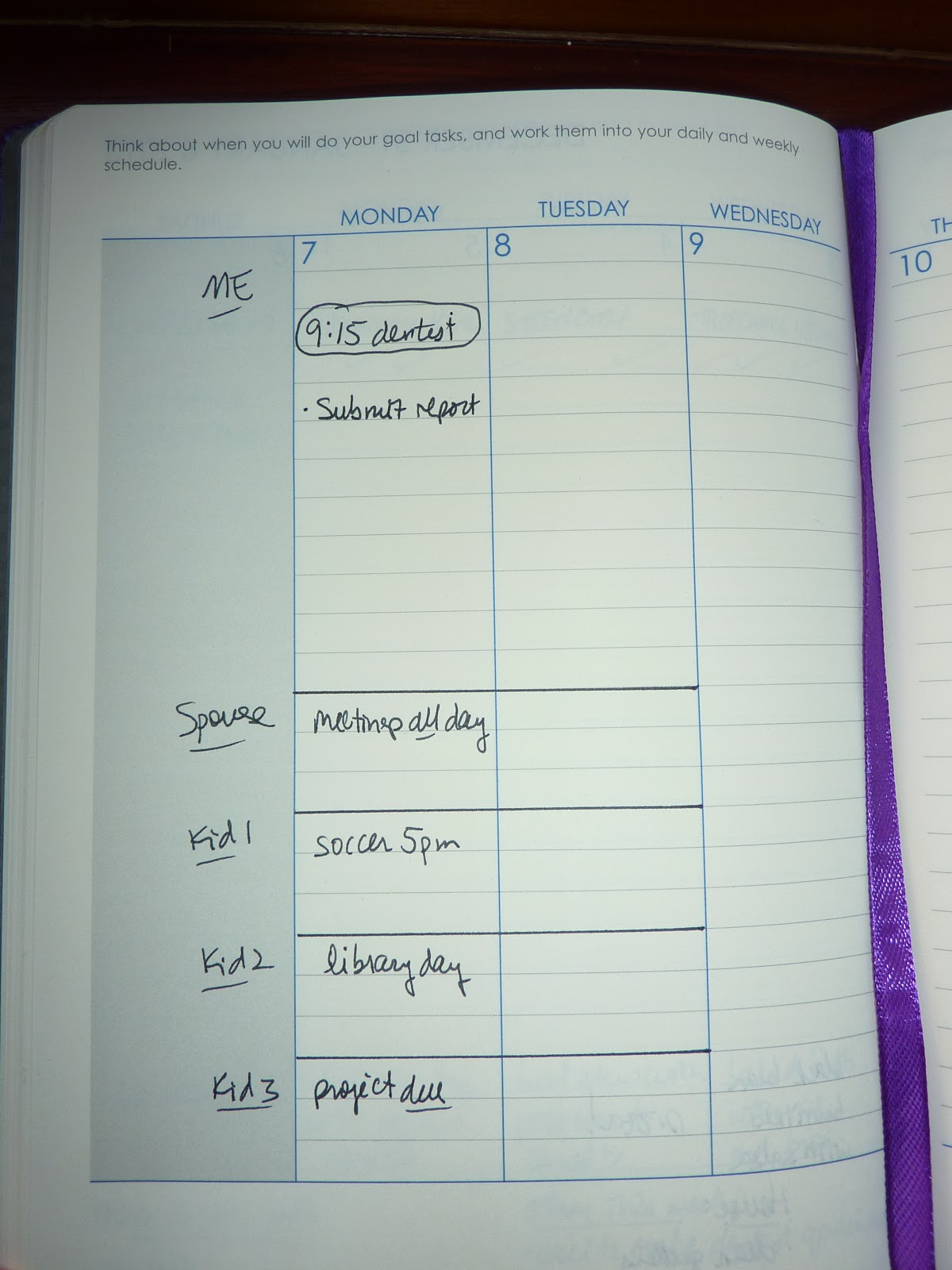 Plannerisms: How to Use Plannerisms planners Weekly pages