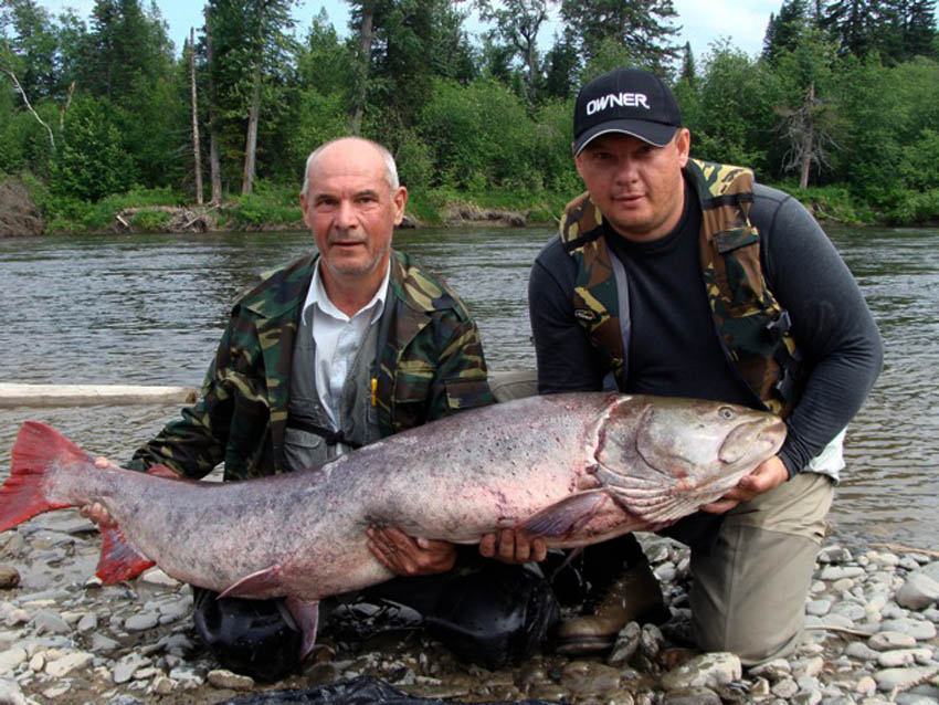 Chavanga Fish Blog: Khabarovsk Taimen fishing tour