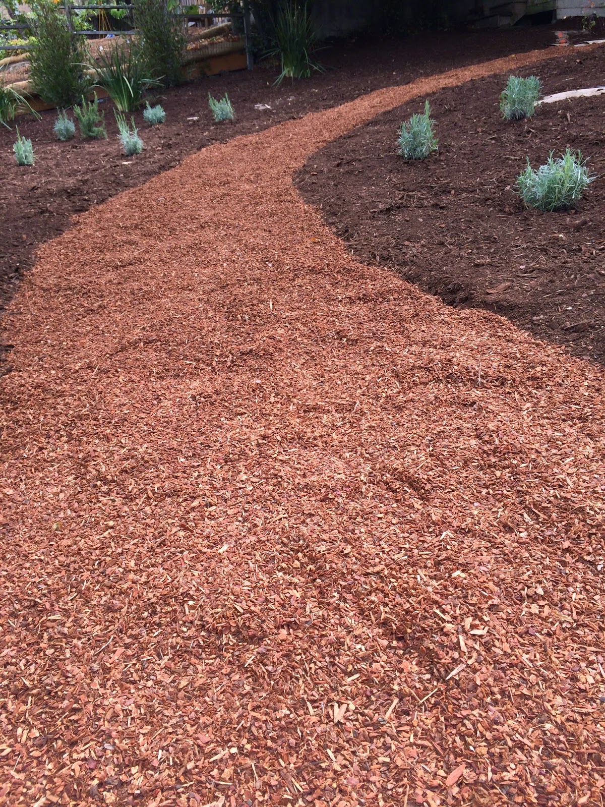 Sheet Mulch 101 : Fiddlehead Gardens
