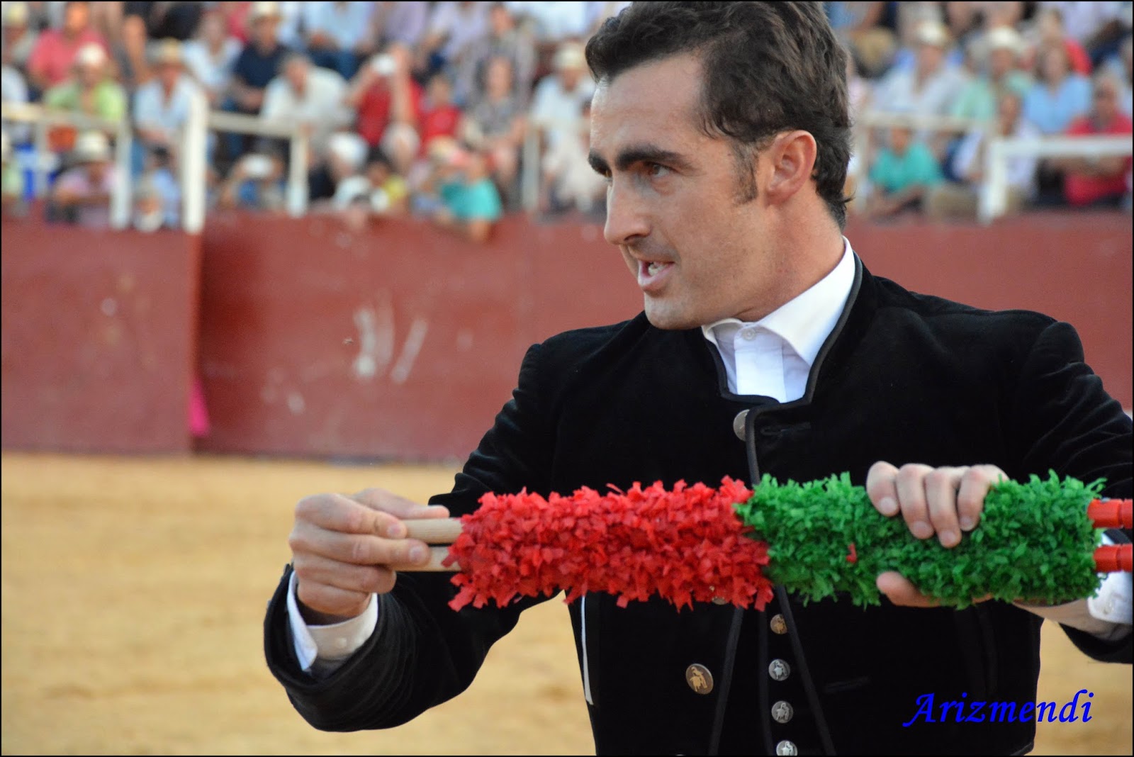 Lascosasdeltoro: Galería de David Fandila "El Fandi" en Almonte (Huelva).