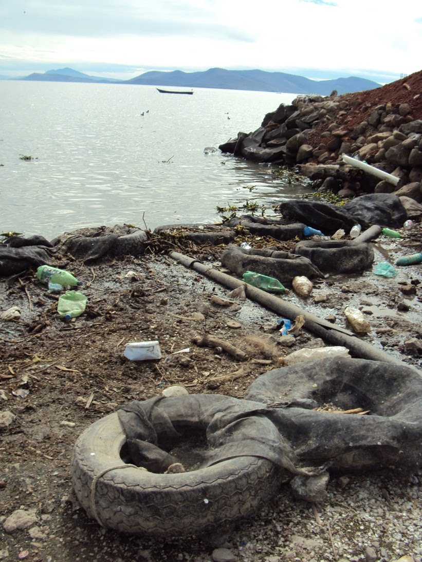 Contaminación del lago de Chapala : 2015