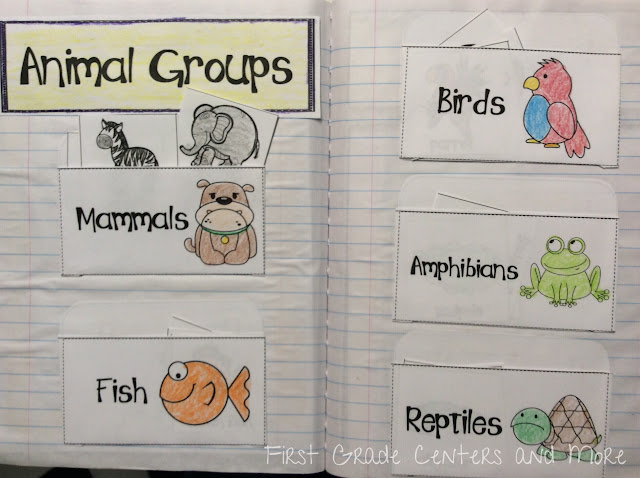 Interactive Science Notebook - First Grade Centers and More