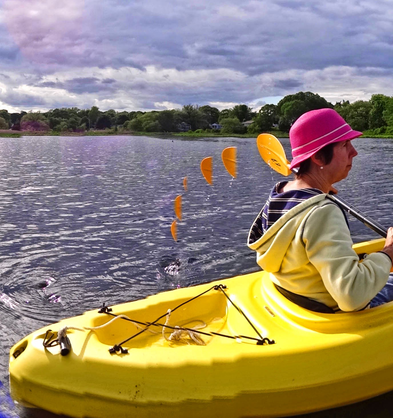 Joe's Retirement Blog: Bartlett Pond, White Horse Beach, Manomet ...