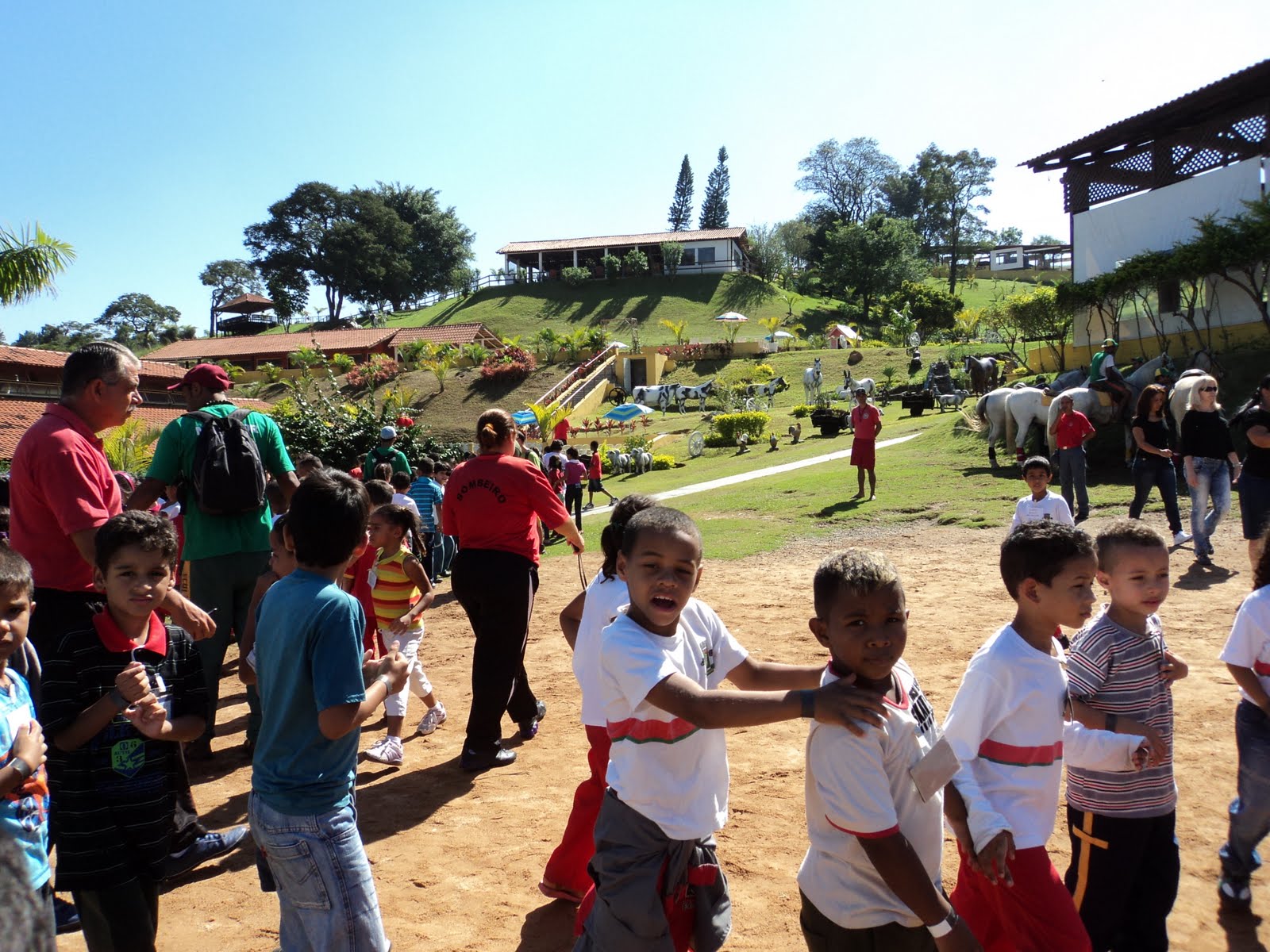 Selenilda - Aventura e Magia um passeio pelo saber: PASSEIO A ECOLANDIA