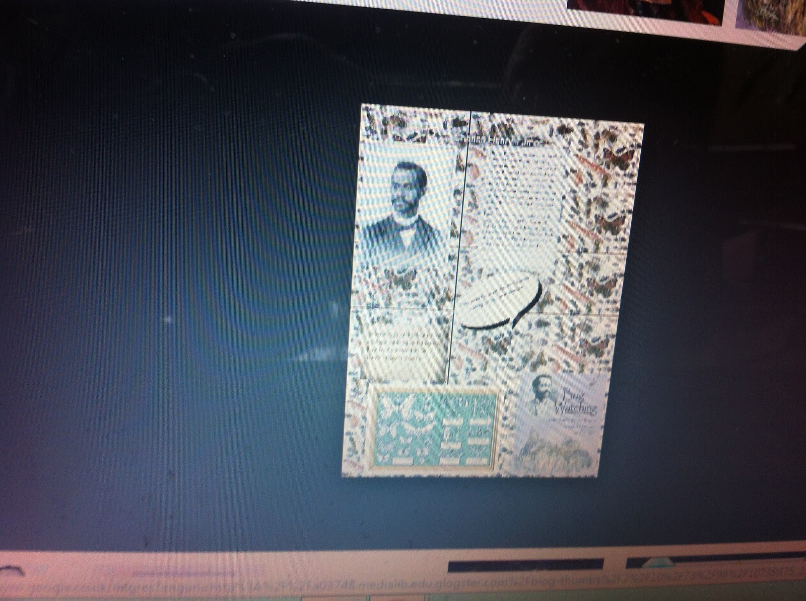 THE BLACK SOCIAL HISTORY:: BLACK SOCIAL HISTORY : AFRICAN AMERICAN ...