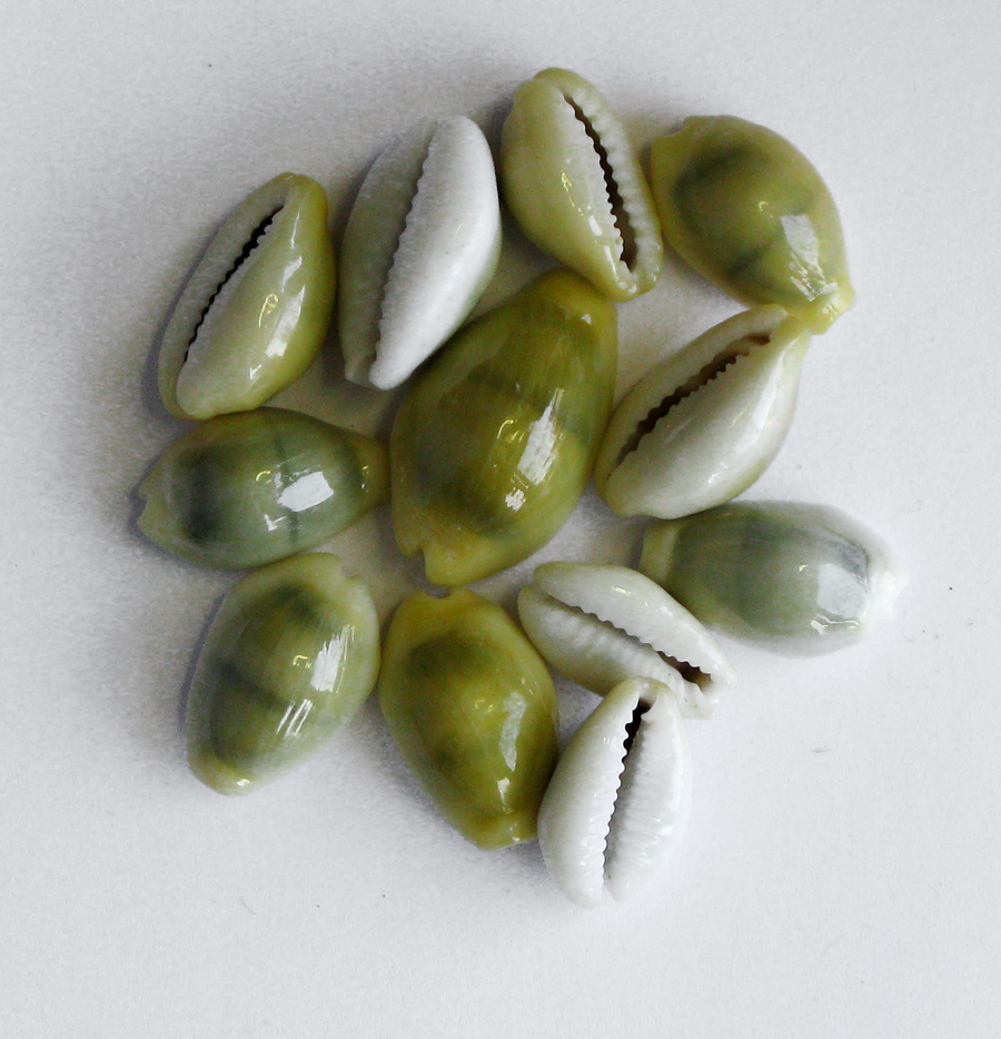 Economics for Everybody! : A brief history of Money