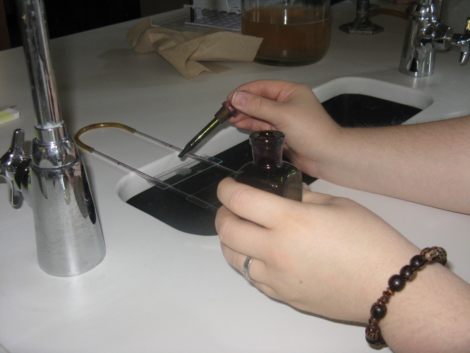 Samantha and Sarah's Microbiology Lab Journal: Staining Bacteria ...