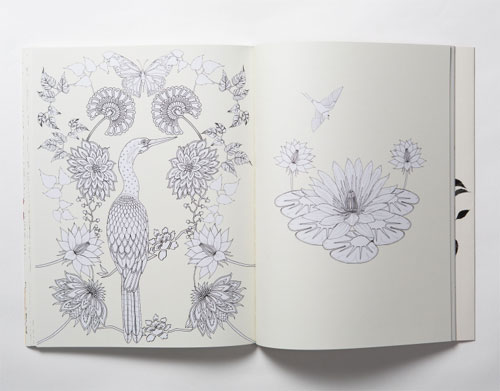 My Owl Barn: Birdtopia: Coloring Book by Daisy Fletcher