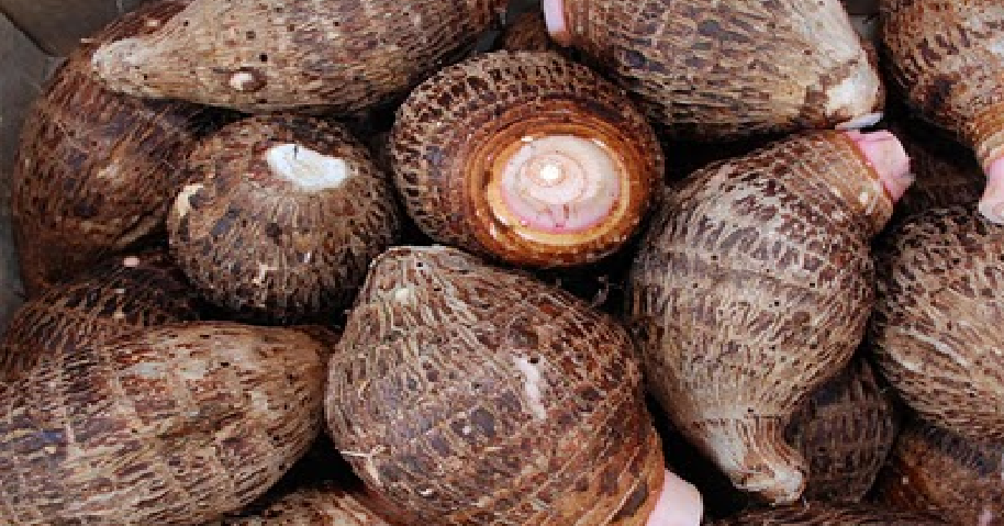 Creme de Inhame, para saladas e recheio.