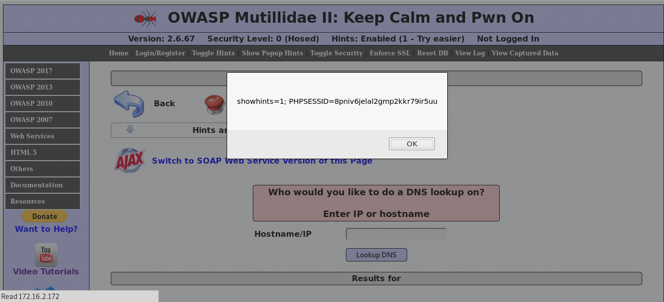 Owasp Cross Site Scripting Reflected Stored Dom ~ The Cybersploit