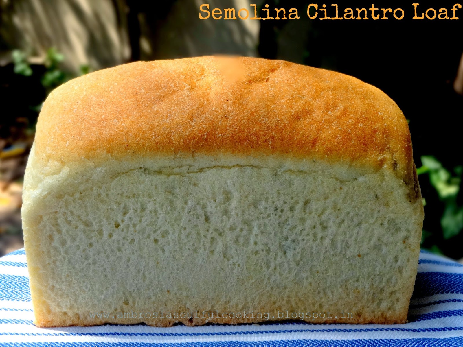 Semolina Cilantro Loaf | Sooji bread | Ambrosia