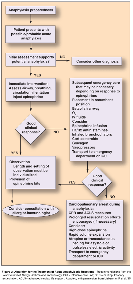KESEHATAN: Manajemen syok anafilaktik