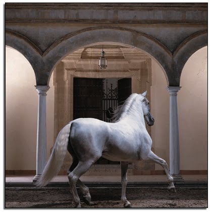 100 DE CABALLOS: DATOS DEL CABALLO ESPAÑOL espero que os guste