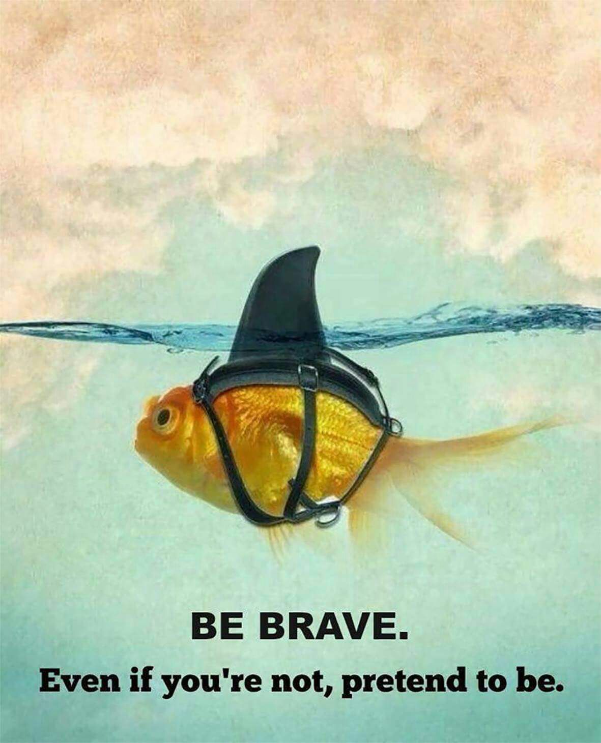 MEMEVAULT: Motivational Memes - Be brave. even if you are not, pretend ...