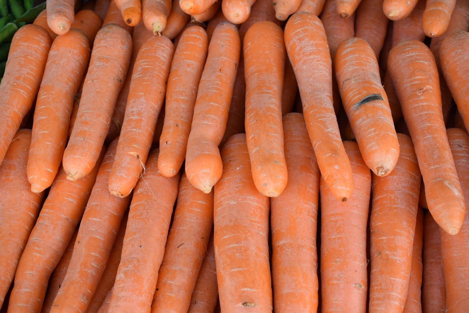 Conheça os benefícios da cenoura, o produto da semana (4/7)