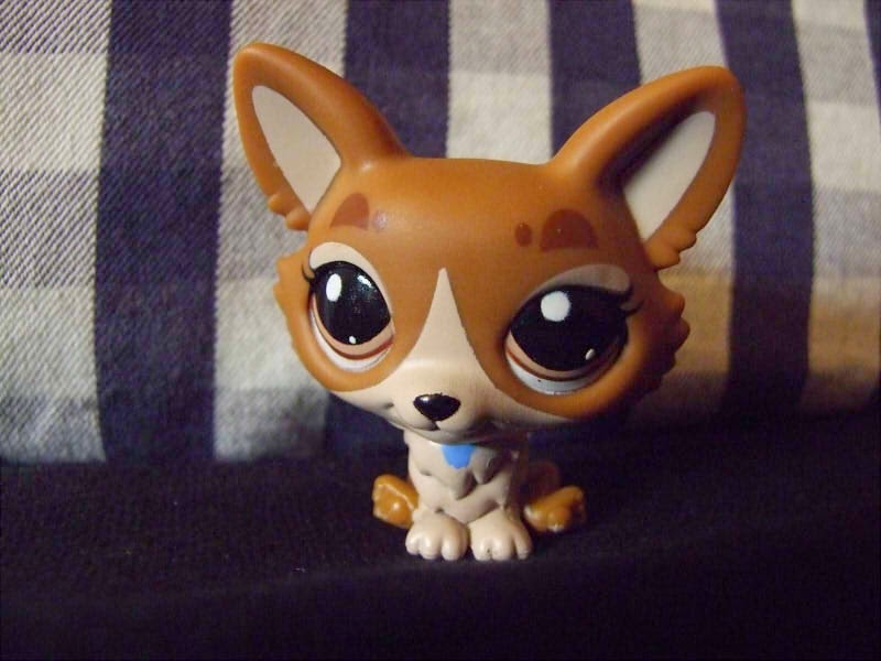 Centrum Littlest Pet Shop: 183. Top 15 ulubionych LPS
