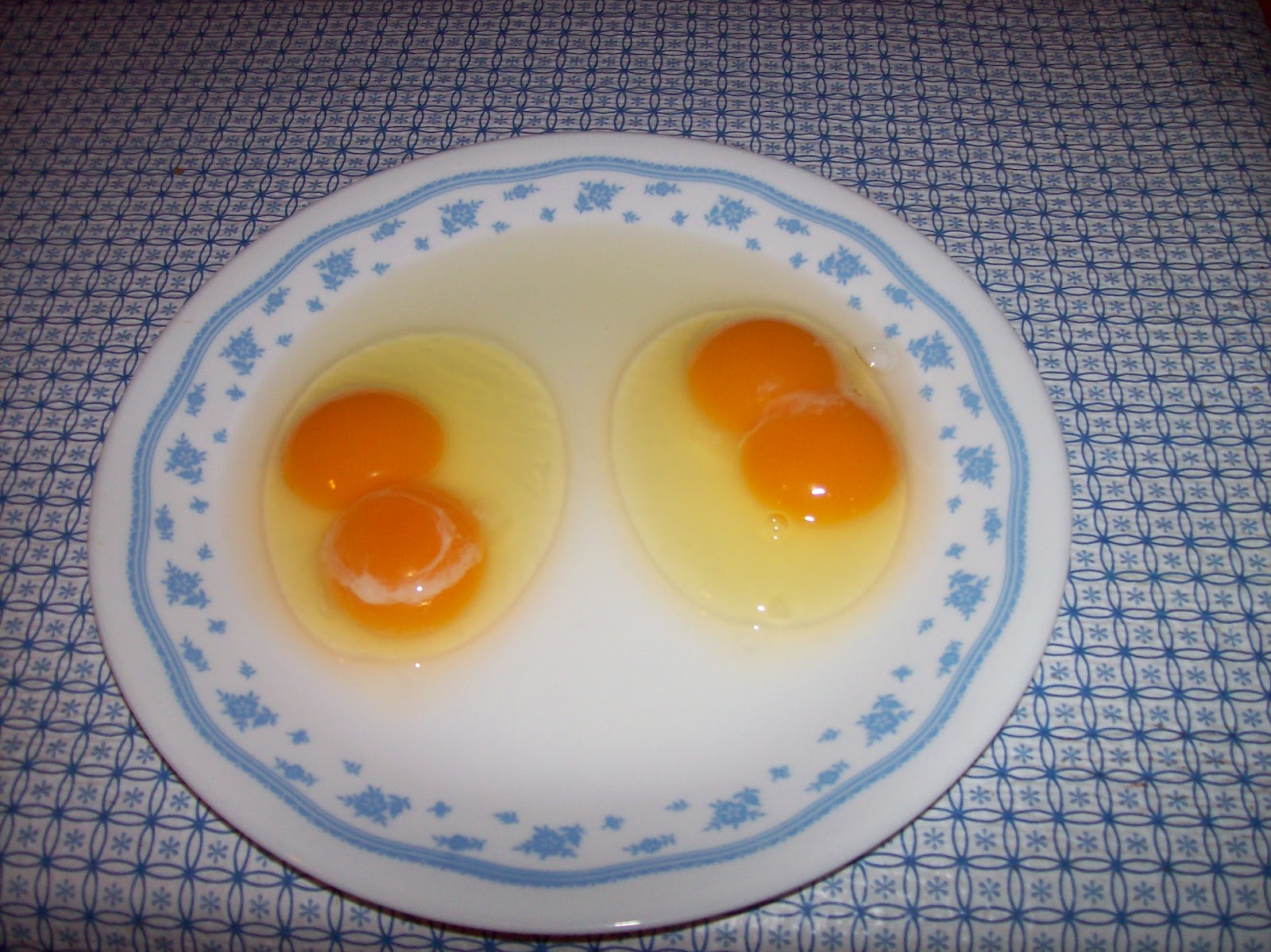 My Chicken And Egg Journal: Chicken Eggs, Double Yolks And Eggs With No ...