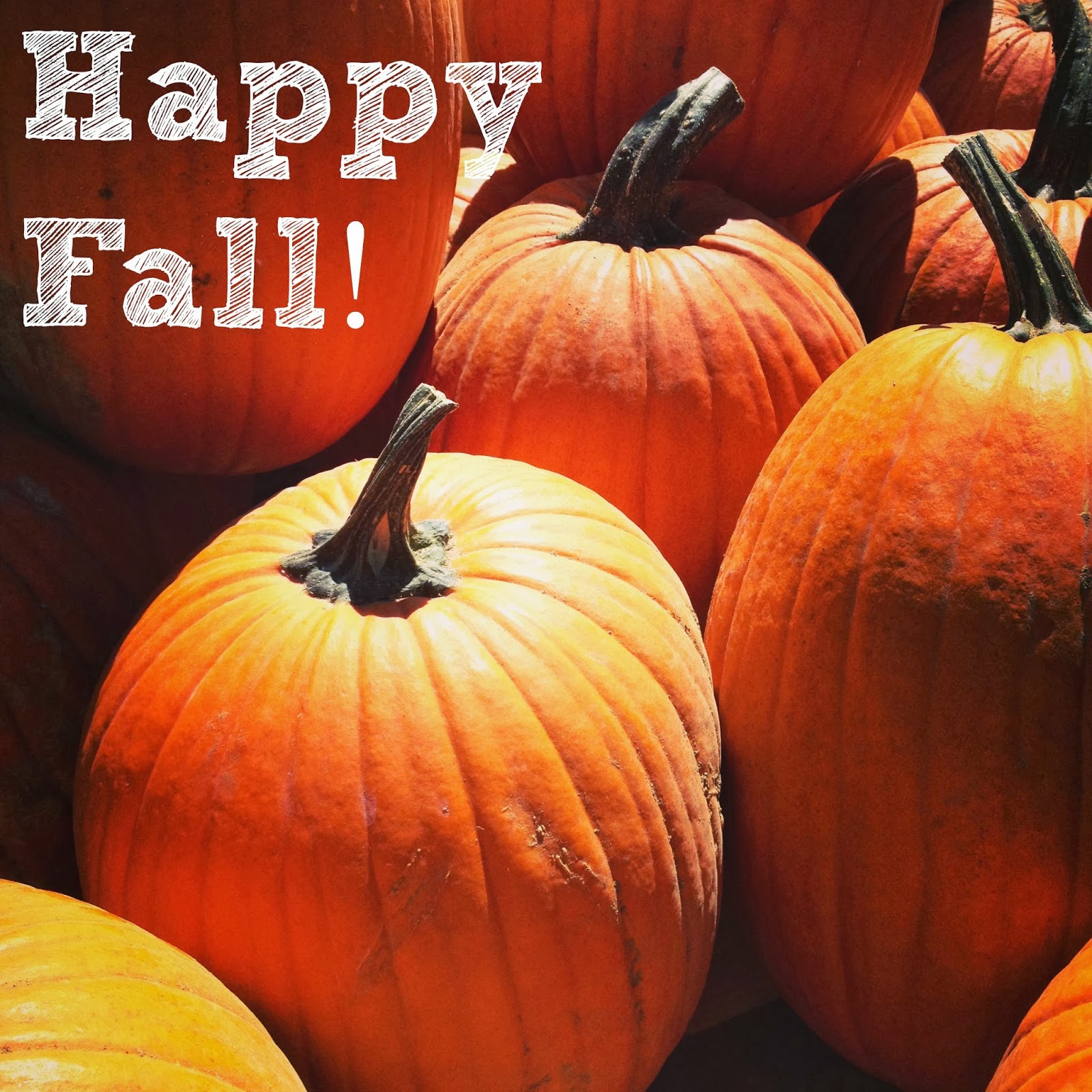 Happy Fall! | sealaura