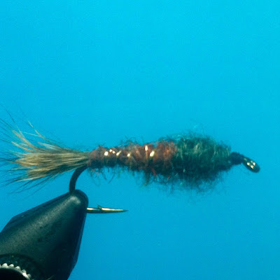 A Dozen Classic Mayfly & Attractor Patterns to Fill Your Nymph Box