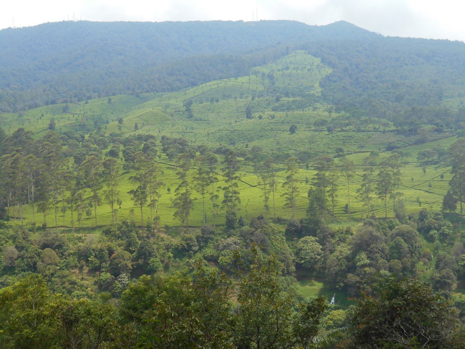 One Day Trip : Curug Cimahi & Curug Layung