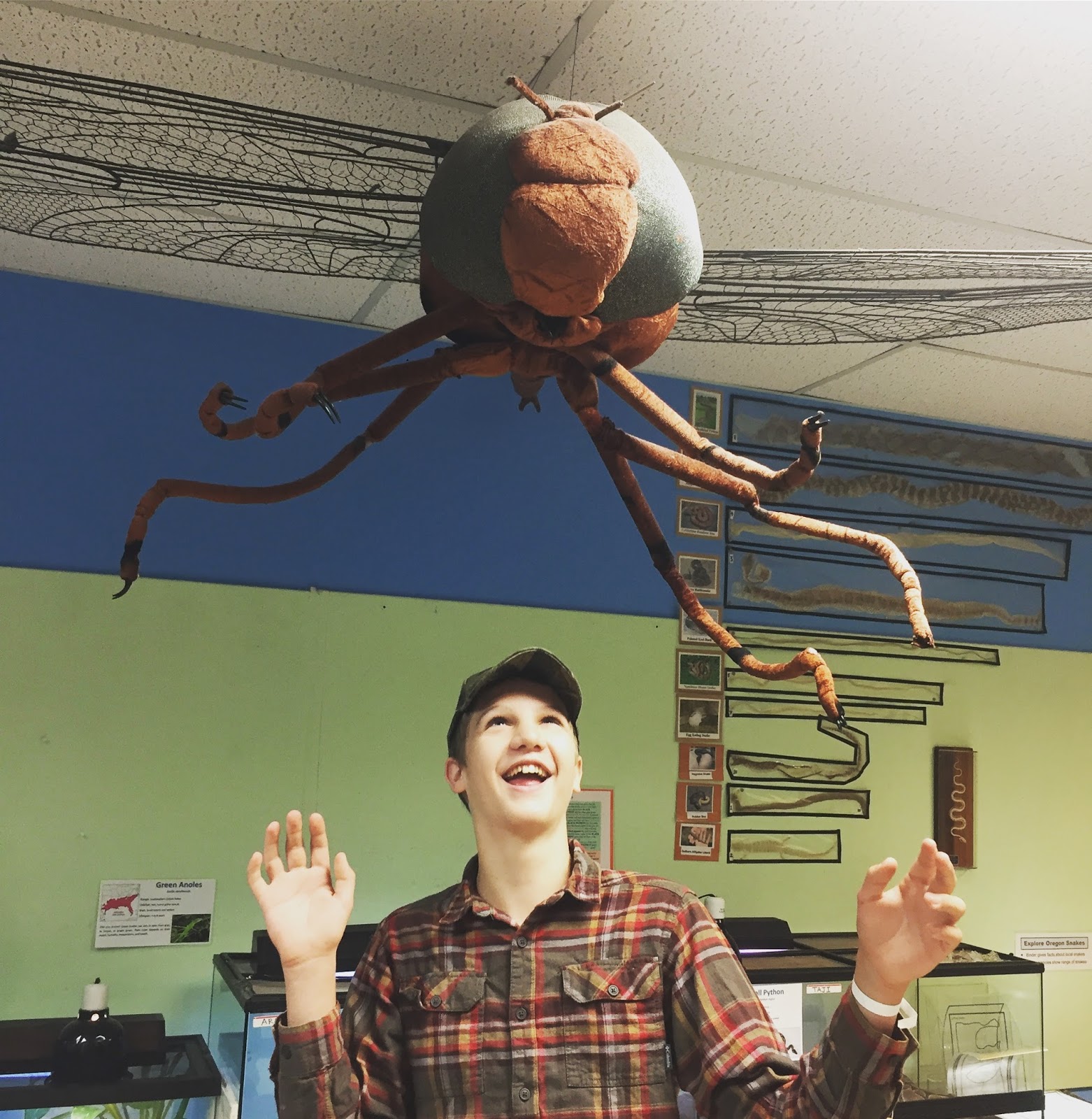 The Wandering Beaver