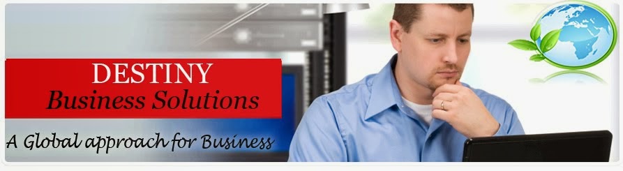 Destiny Business Solutions: Award Winning Digital Marketing Strategies