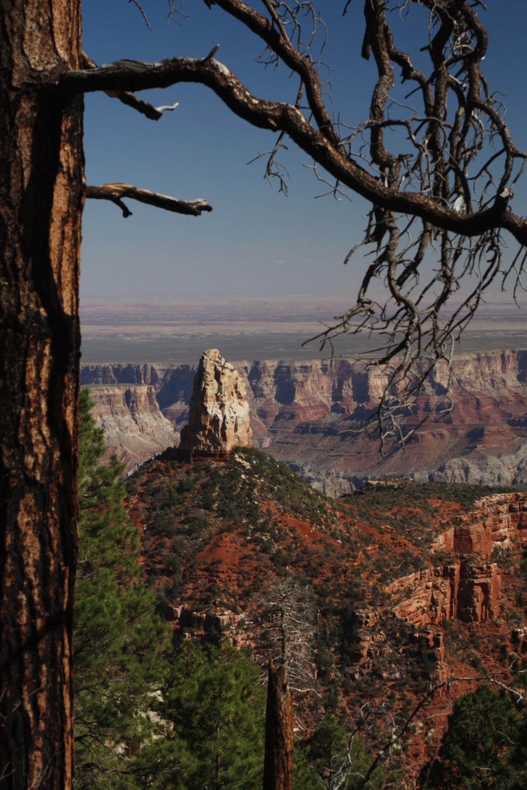 One Day in America: Autumn Along the Grand Canyon's North Rim